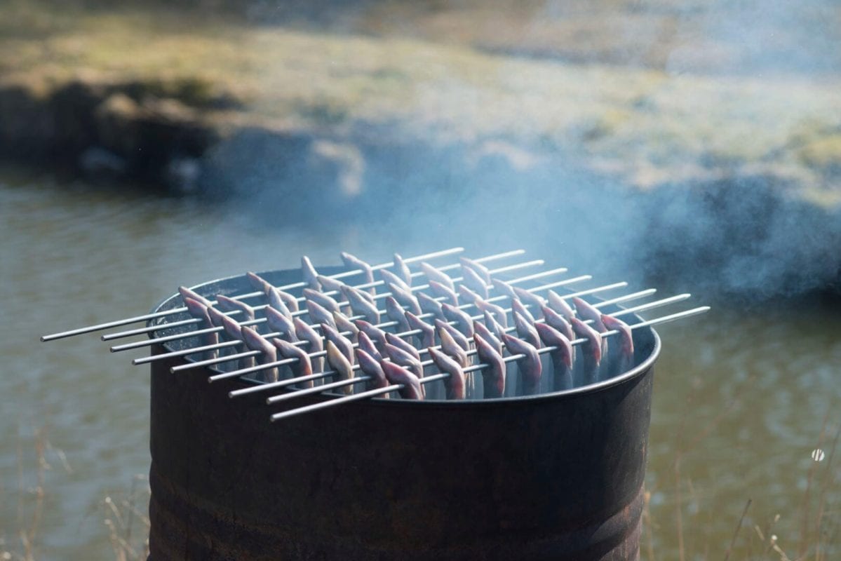Het mysterie van de paling (video) - Foodtube.nl